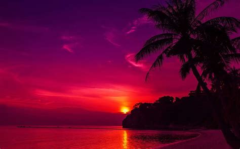1280 X 800 Nature Hd Wallpaper