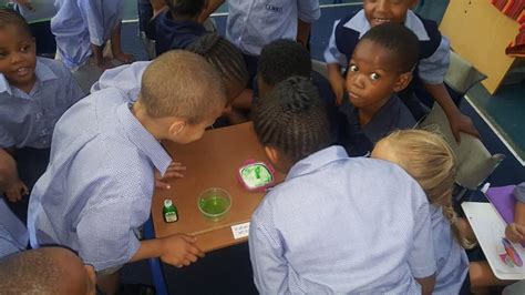 Grade 1 Science Surface Tension Curro Klerksdorp