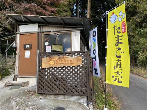 【ライター記事】秦野市デジタル地域通貨「omotanコイン」が2024年12月1日からスタート！使い方と魅力を徹底解説 Omotan