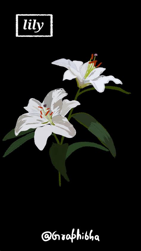 Graphibha In 2023 Flower Illustration White Lily Flower White Lilies