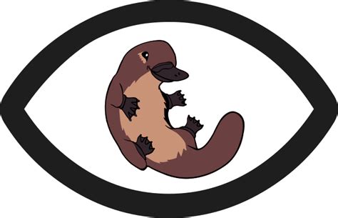 Boris Open Neuroscience