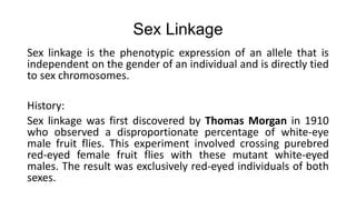 Topic Sex Linkage And Recombination PPT