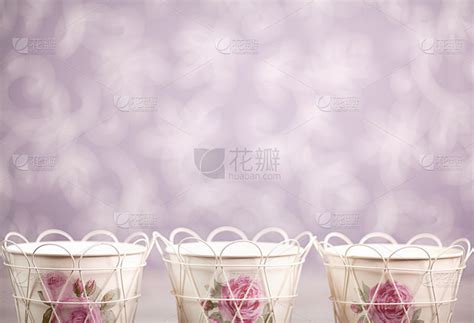 紫色背景的装饰花盆