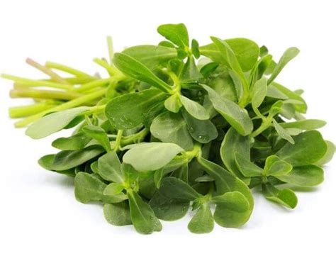 10 Plantas Comestibles Que Se Consumen Crudas Cultura Vegana