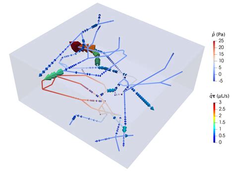 Cardiac Wall Motion In A Vascular Network Induced Oscillatory Flow