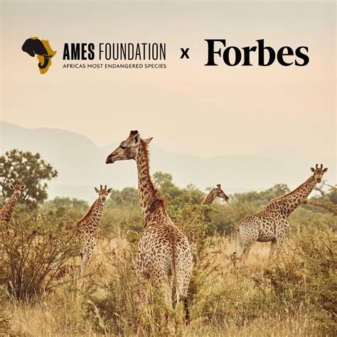 It Is An Honour To Be Recognised In Forbes For Our Innovations Through