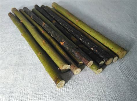 Set Of 10 Aspen Sticks Etsy