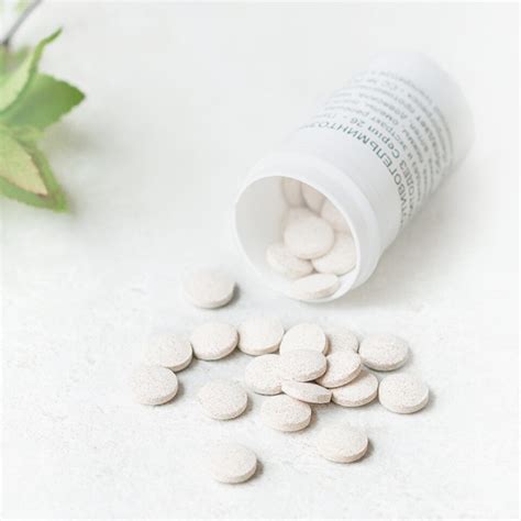 Купить Траметес в порошке 300 г