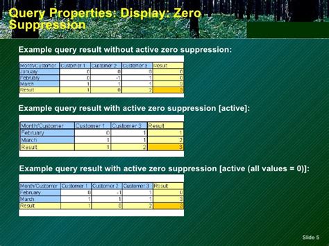 Bex Query Designer Query Properties