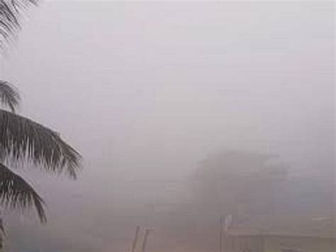 Weather Update News Cold Weather In Konkan Fog In Many Villages Weather Update कोकणात