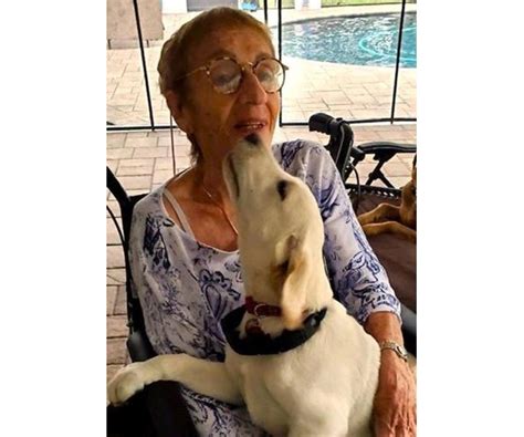 Sherry Wolf Turney Obituary 2024 Arlington Heights Il Shalom