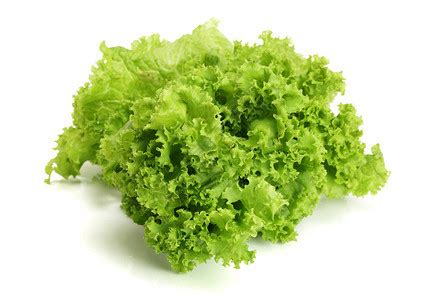 孤立在白色背景上的生菜叶关闭高清图片下载 正版图片503251237 摄图网