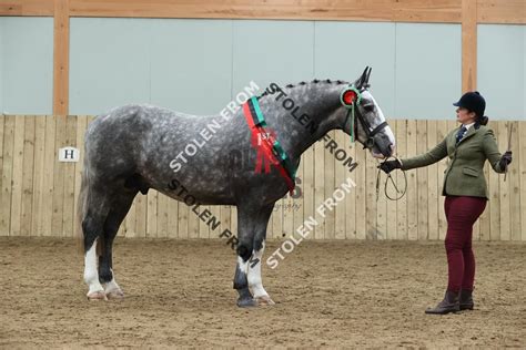 R181855 2023 1st Class Images