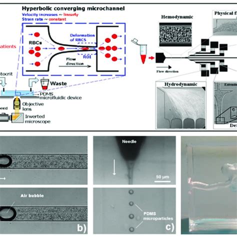 Pdms Applications A In Microfluidic Devices To Assess Motions And Download Scientific