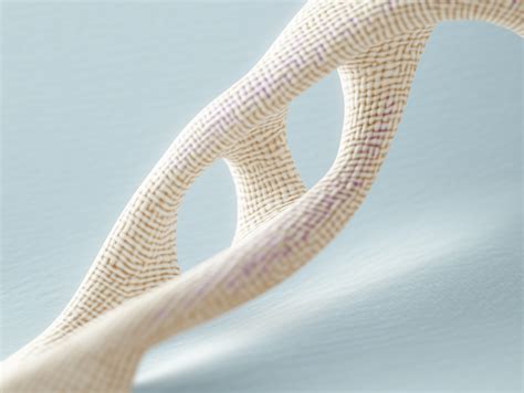 Fibrous Structures Images — Free Hd Download On Lummi