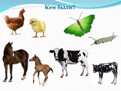 Последовательность действий и событий 1 класс презентация онлайн