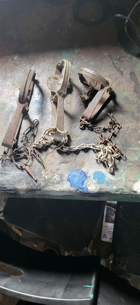 Gopher Traps Schmalz Auctions