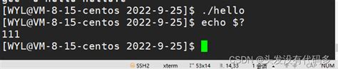 Linux Fork Fork Main Exit Exit