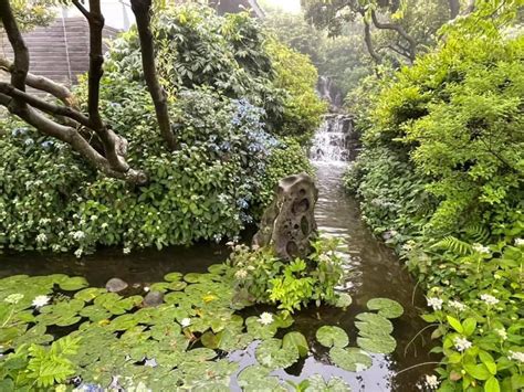 성공회 남양주교회 아침기도 사랑의 하느님 유한한 삶을 허락받은 사람들의 욕심이 삶의 안전을