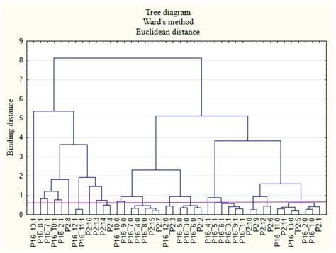 Diagram Of Hierarchical Classification Of Variable Categories Support Download Scientific