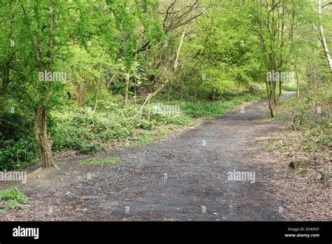 Former Route Of The Pensnett Railway Saltwells Local Nature Reserve