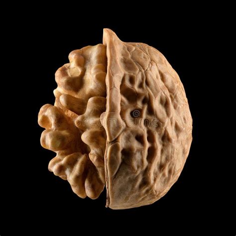 Half Peeled Walnut Showing The Kernel Of A Nut Isolated On Black