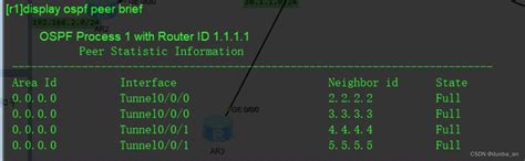 ospf在mgre上的实验练习 csdn博客