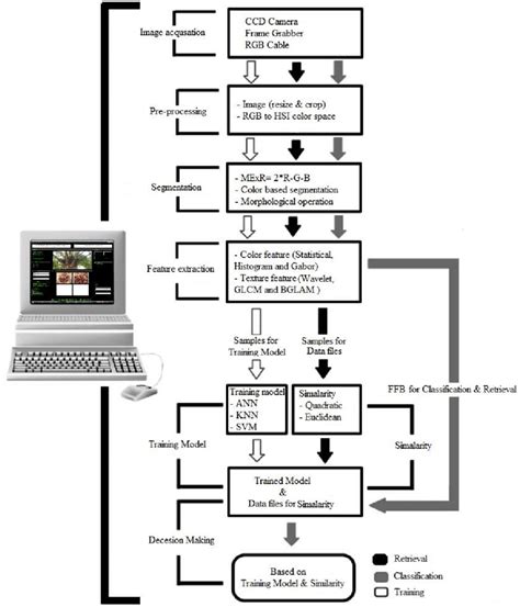 Steps And Image Processing Techniques For The Ffb Real Time Oil Palm Download Scientific