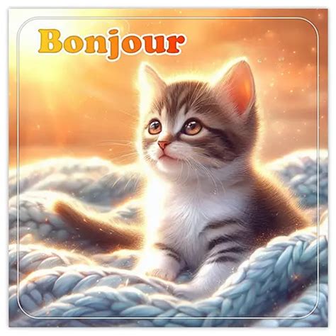 Bonjour Chats Calendrier Su