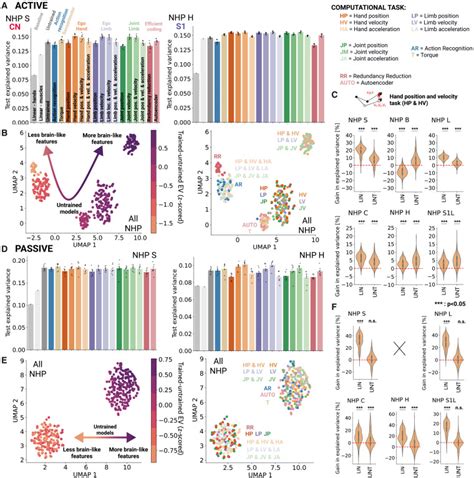 Task Driven Neural Network Models Predict Neural Dynamics Of