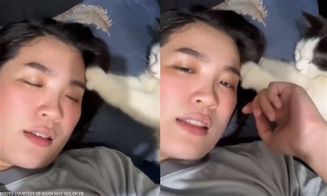 Pusa Na Minamasahe Ulo Ng Fur Mom Kinaaliwan