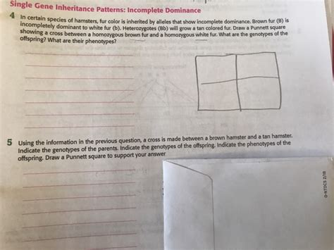 Solved Single Gene Inheritance Patterns Incomplete