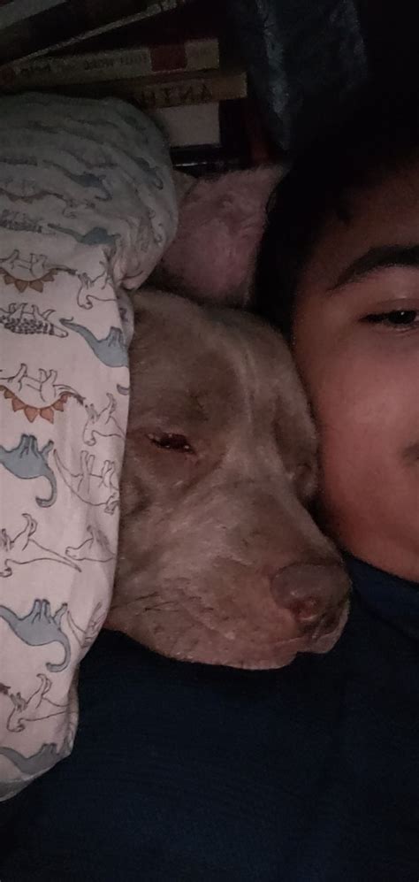 Me And My Puppers Raww