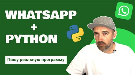 Пишу реальную программу Рассылка сообщений по Whatsapp при помощи