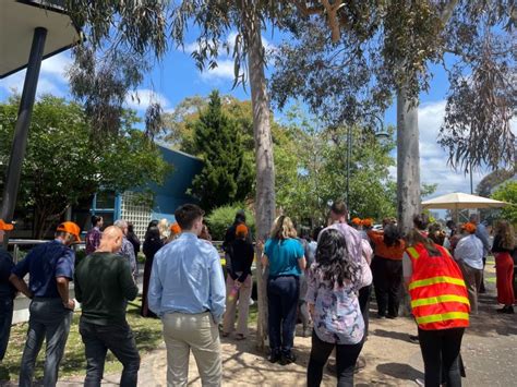 Simone Wickes On Linkedin 16daysofactivism