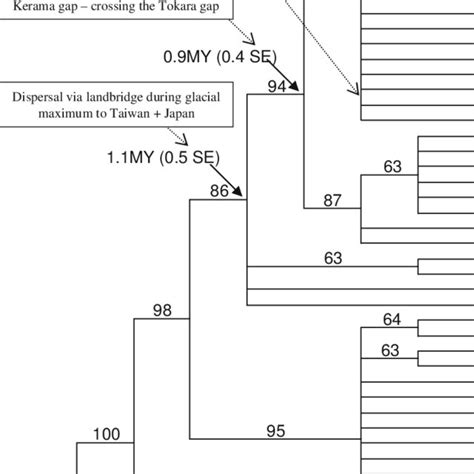 Strict Consensus Tree Of Eight Most Parsimonious Trees For 56 Samples