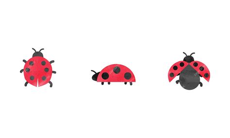 Simple Ladybug Watercolor Drawing Ladybugs Set Vector Cute Ladybug
