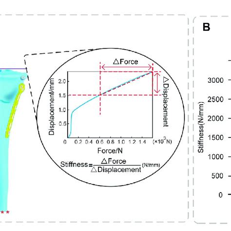 Stiffness Of Tibia A Stiffness Calculation Force Displacement