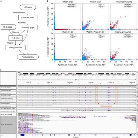 Haplotype Resolved Assembly Using Hi C Data A Assembly Workflow