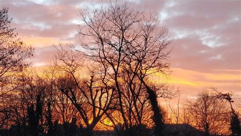 Clare Downham On Linkedin Stresstosuccesshabits Stressmanagement Stressrelief Stressfree