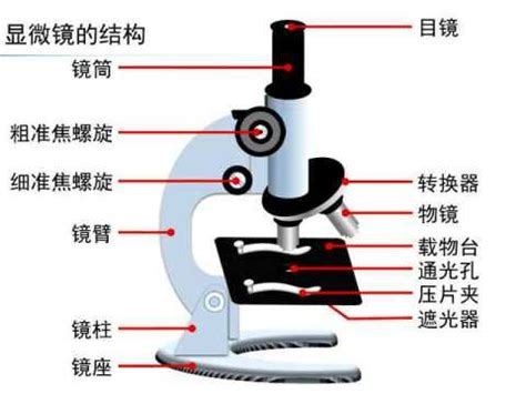 显微镜的结构腾讯视频