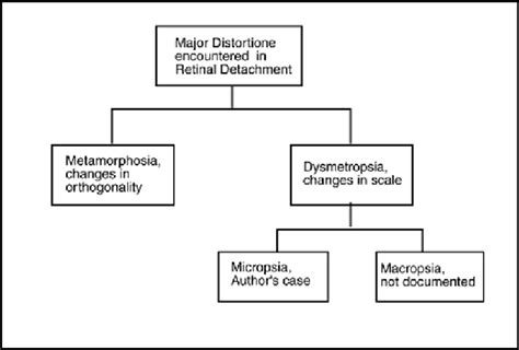 Figure F 1 4 1 Principle Spatial Distortions Following Surgical Repair