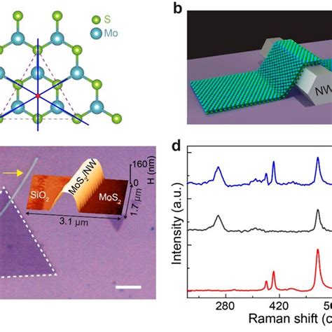 Our 2d Mos 2 1d Algaas Nw Mixed Dimensional Heterostructure A Download Scientific Diagram