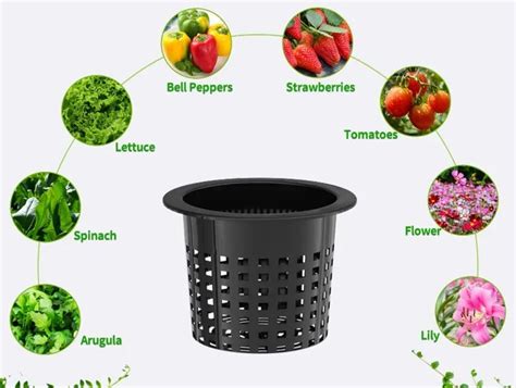 5 Gallon Rdwc Hydroponic System Bucket With Water Chiller Buy Rdwc