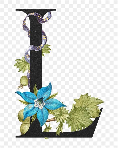 L Flower Images Free Photos Png Stickers Wallpapers Backgrounds