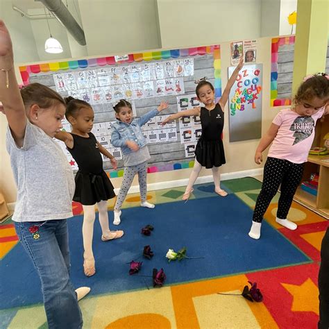 Springview Academy Home Facebook