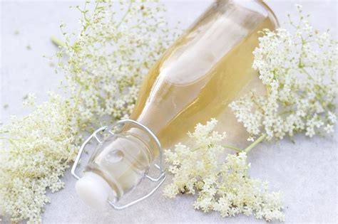 Rezept Holunderblütensirup The Inspiring Life Holunderblütensirup Holunderblütensirup