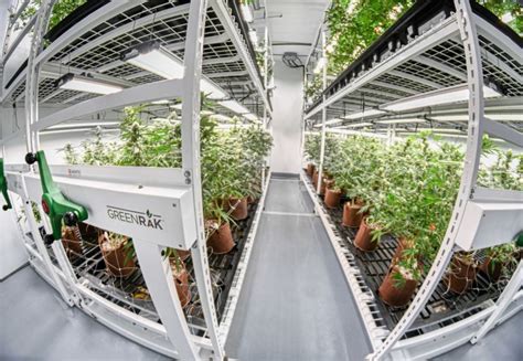 David R Caparosa Posted On Linkedin