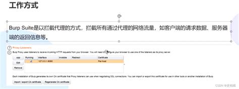 安全工具burp Suite的安装及使用burpsuite注册机 Csdn博客