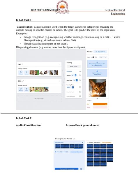 Lab 6 Pdf Statistical Classification Artificial Intelligence